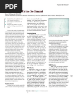 Urine Casts: A Detailed Guide | PDF | Clinical Medicine | Kidney