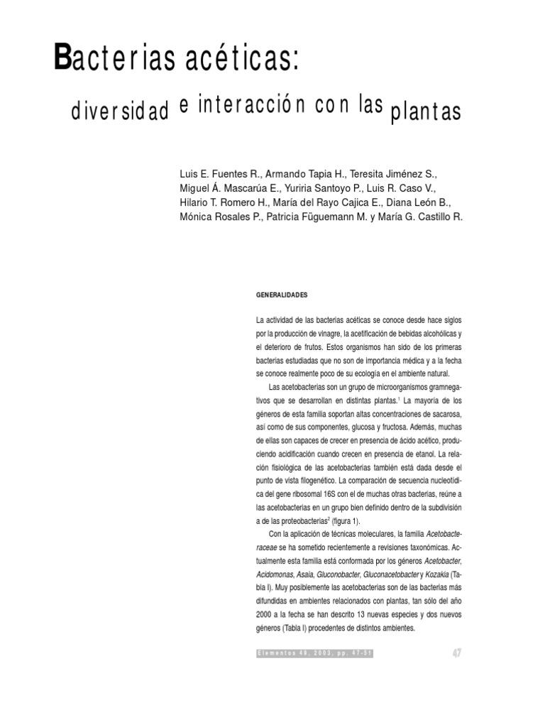 Diversidad de Acetobacteraceae y su Ecología | PDF | Las bacterias ...