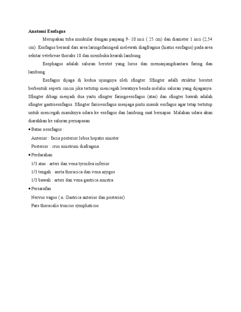 Anatomi Esofagus | PDF