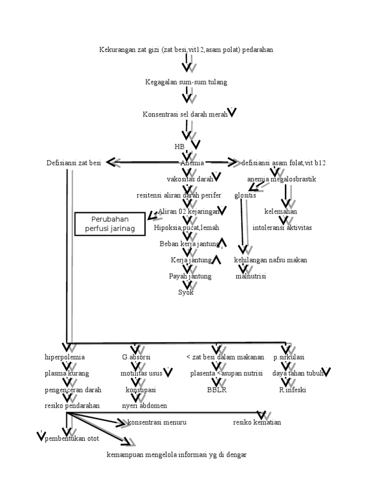 Pathway Anemia Ibu Hamil | PDF