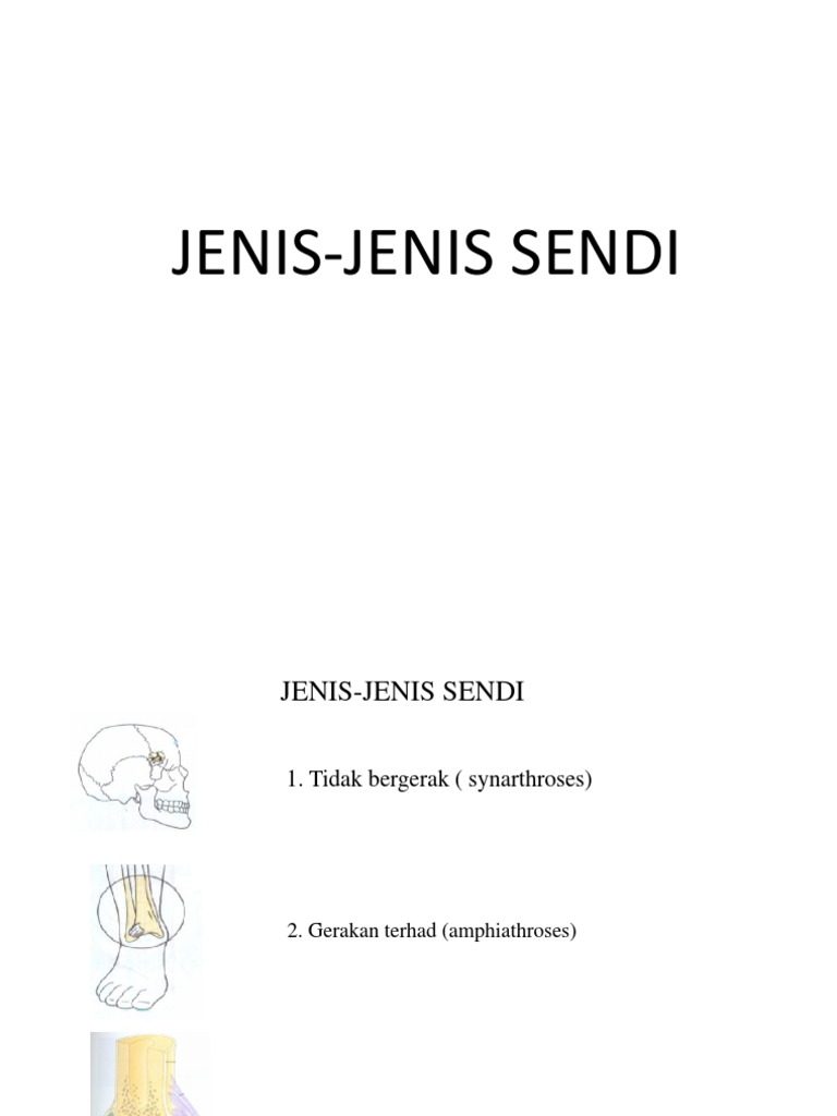 Jenis dan Struktur Sendi Manusia | PDF