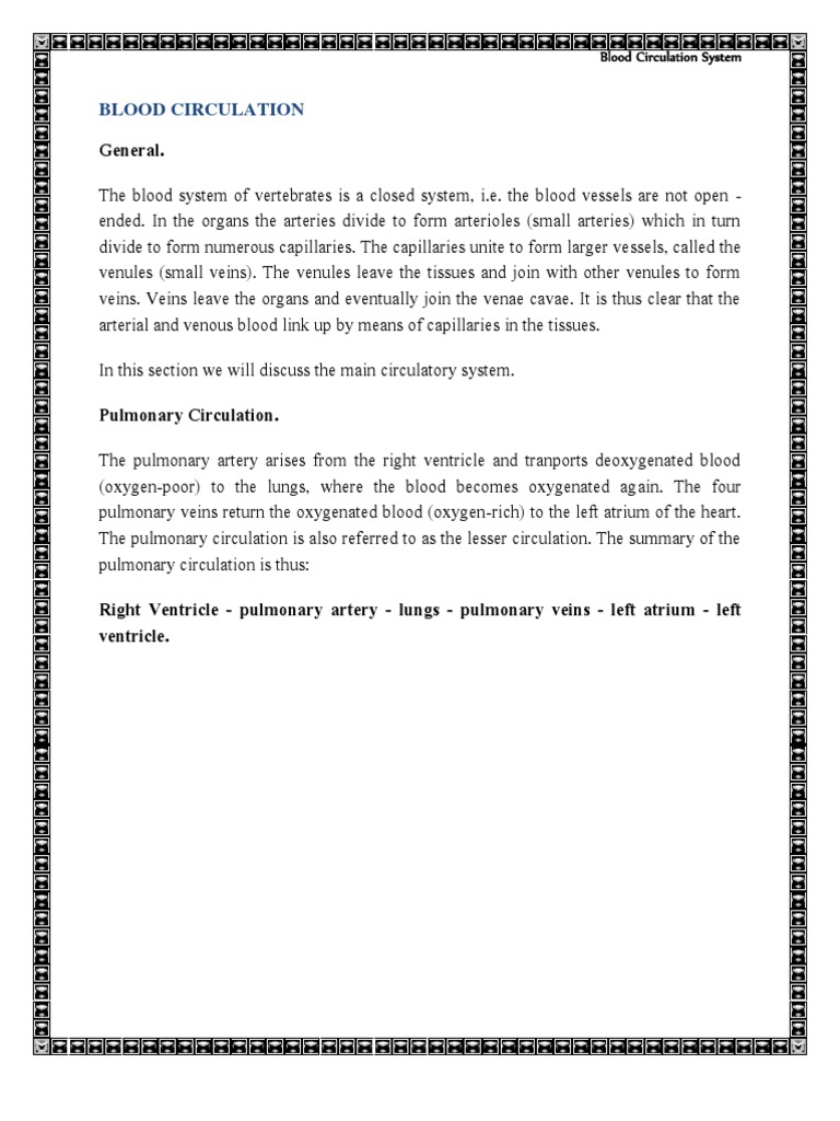 General.: Blood Circulation | PDF | Circulatory System | Vein