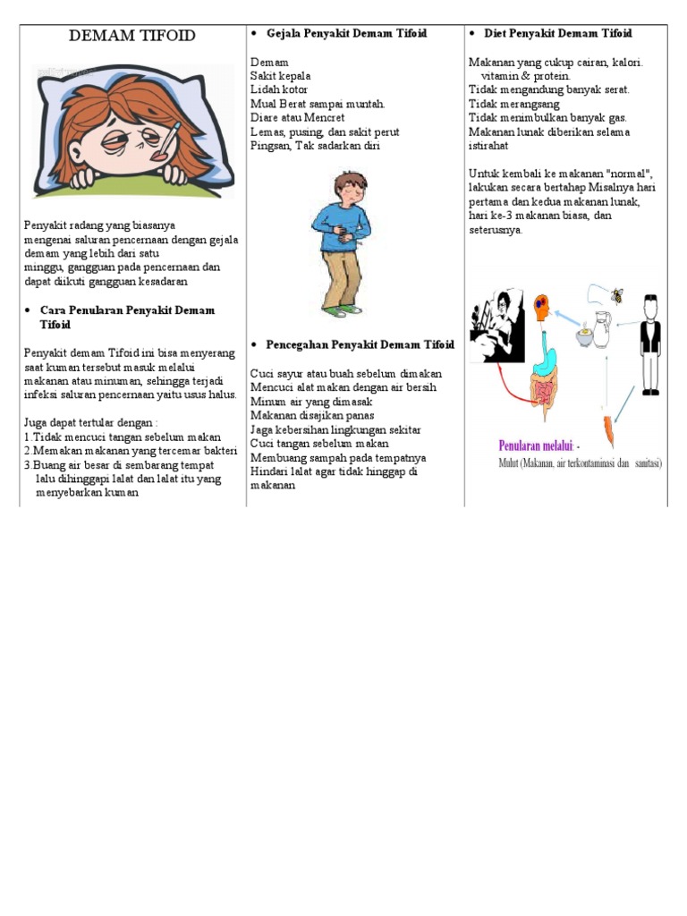 Leaflet TIFOID | PDF