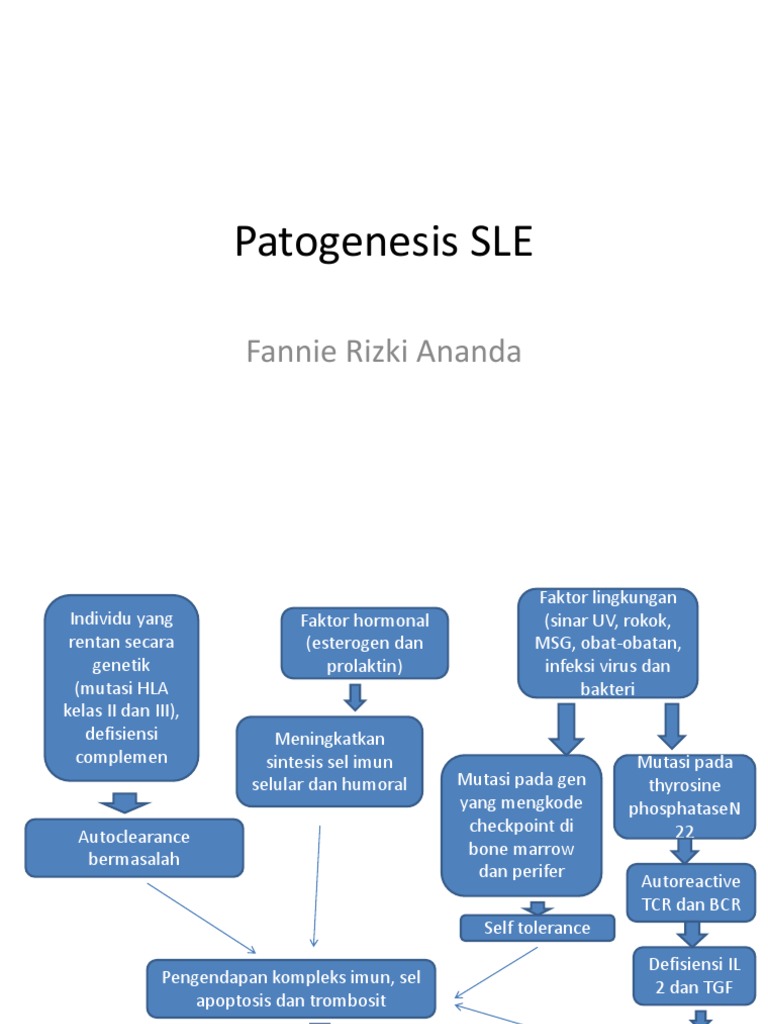 Patogenesis SLE | PDF