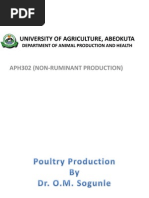 Commercial Layers Production Guide | PDF | Chicken | Poultry Farming
