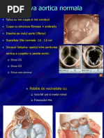 06.01205.012 REV08 Allofit - Allofit S Cup System Surgical Technique ...