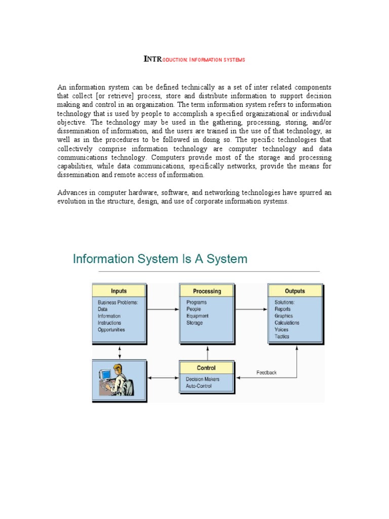Management Information System | PDF