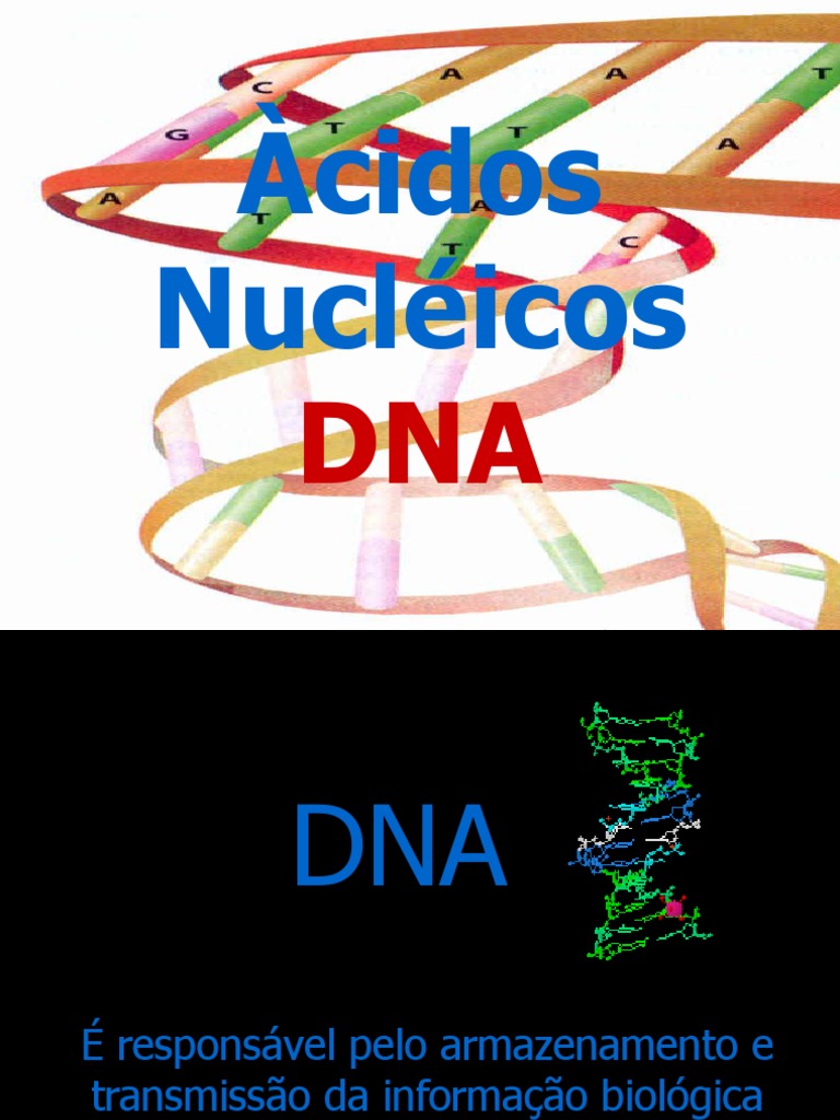 Estrutura e Função do DNA | PDF | DNA | Mitocôndria