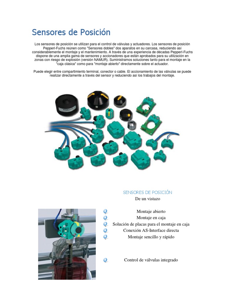 Sensores de Posición | Acelerador | Eje