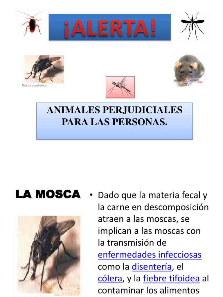 Animales Perjudiciales para el Ser Humano | PDF