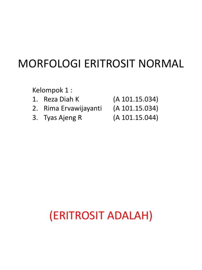 Morfologi Eritrosit Normal | PDF