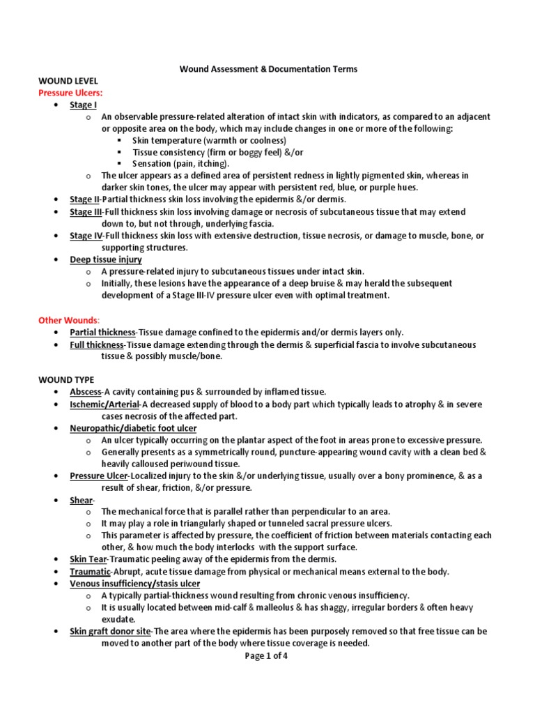 Wound Assessment | PDF | Skin | Wound