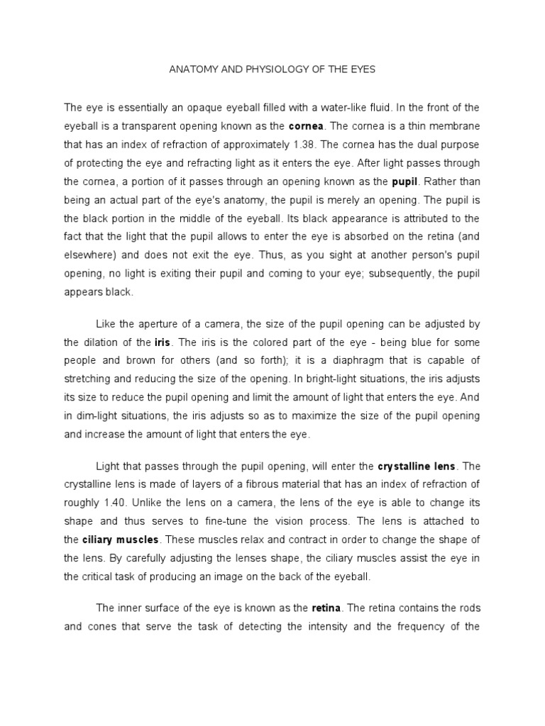 Handout (Sample) | PDF | Human Eye | Multiple Sclerosis
