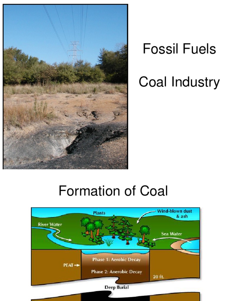 Understanding Coal Formation and Types | PDF | Lignite | Bituminous Coal
