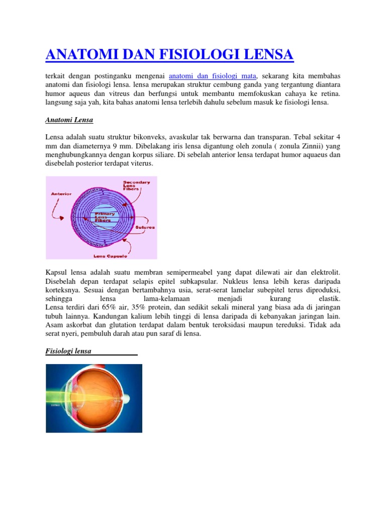 Anatomi Dan Fisiologi Lensa | PDF