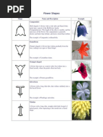 Planting System in Orchards | PDF | Contour Line | Orchard