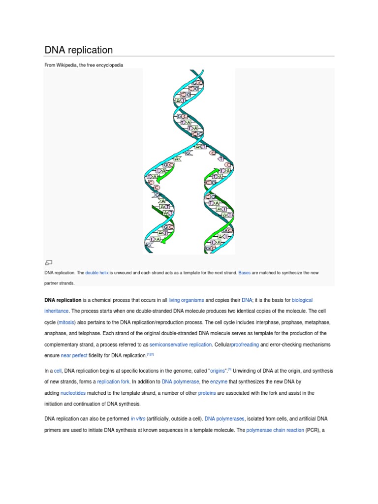 DNA Replication: From Wikipedia, The Free Encyclopedia | PDF | Dna ...