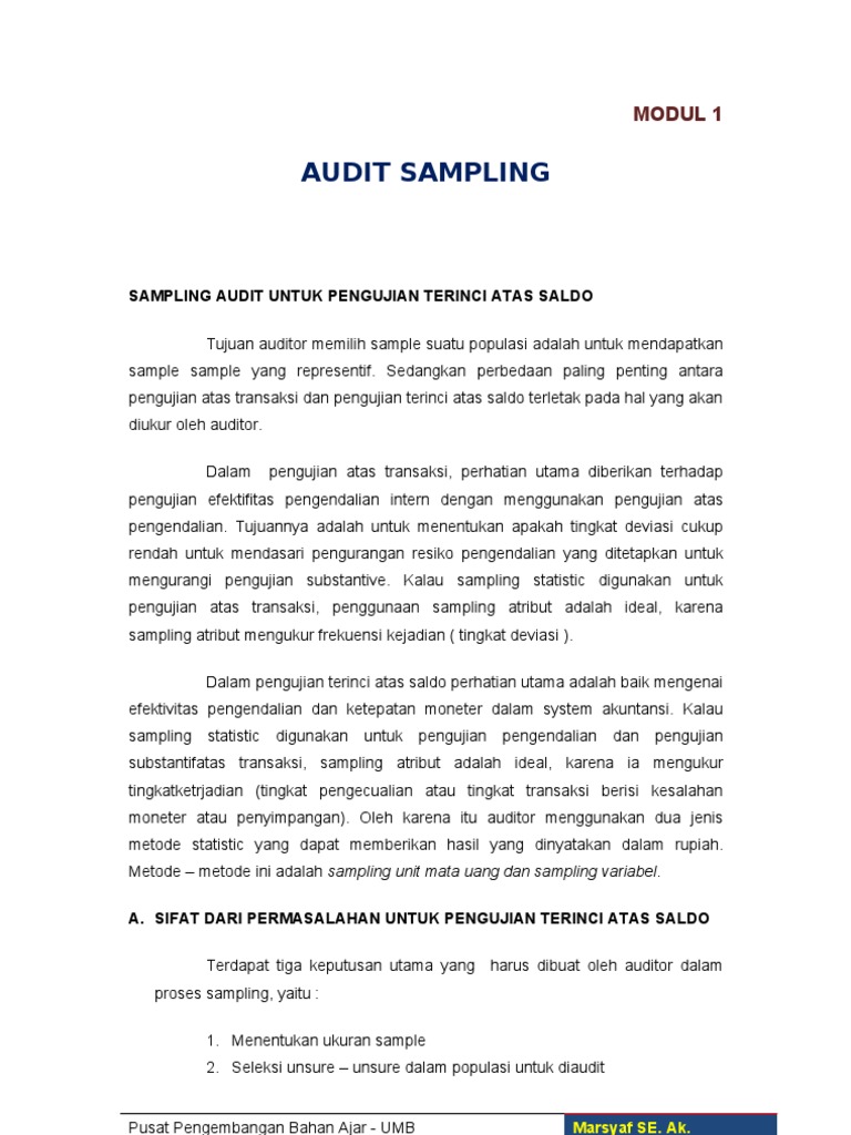 Sampling Audit | PDF
