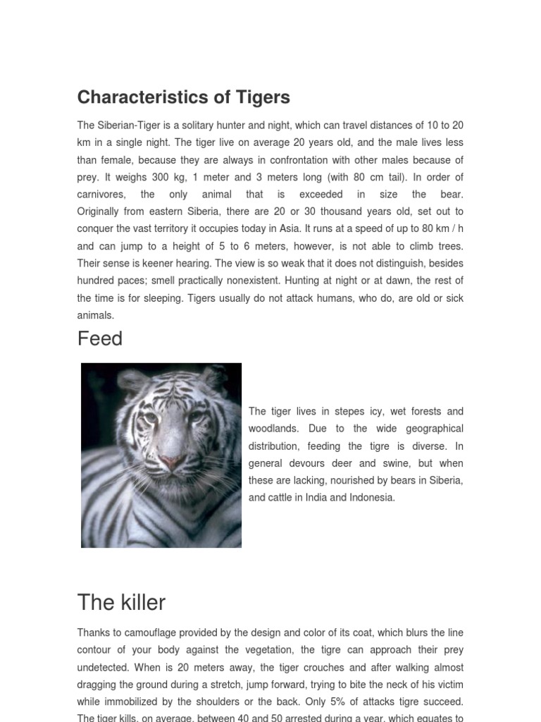 Characteristics of Tigers | PDF | Tiger | Conservation