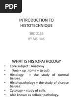 Lecture 1 - Introduction To Histopathology | PDF | Histopathology ...