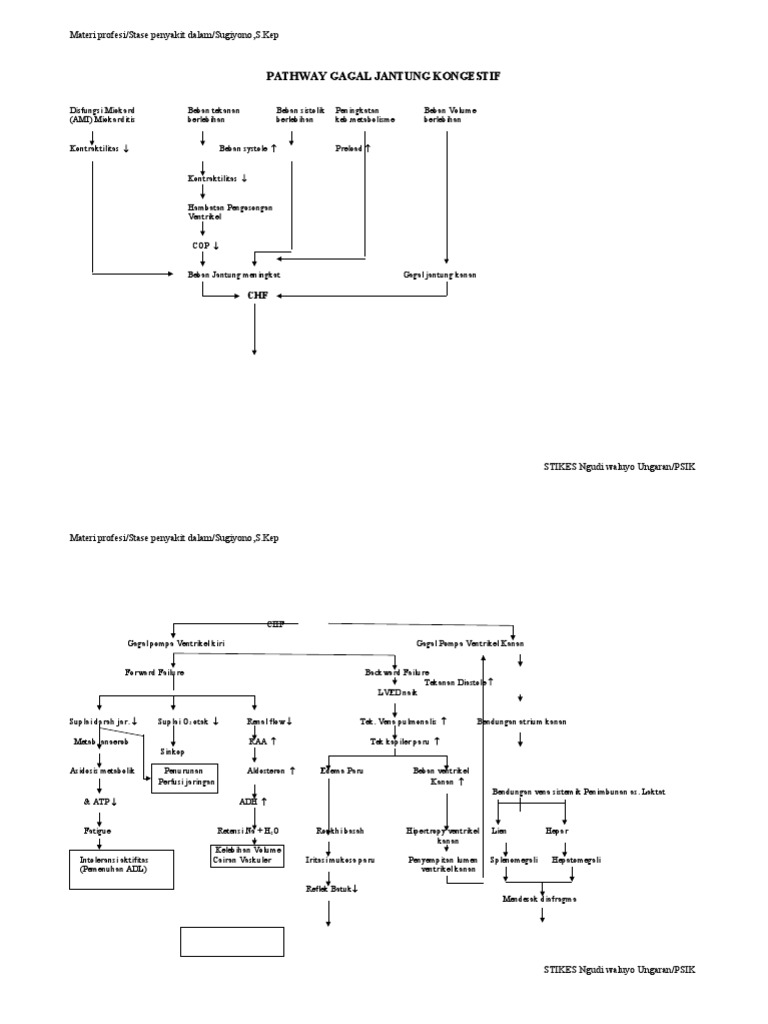 Pathway CHF | PDF