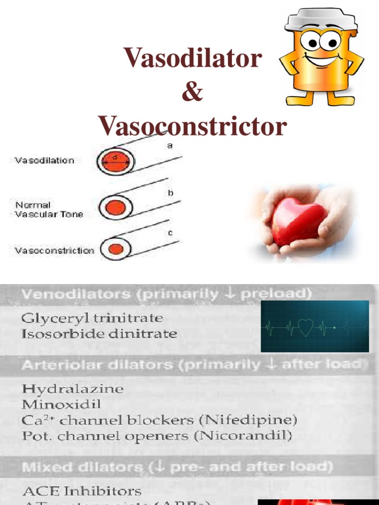 Vasodilator and Vasoconstrictor Drugs | PDF | Vasodilation | Shock ...