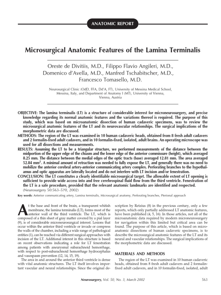 Microsurgical Anatomic Features of The Lamina Terminalis | PDF | Corpus ...