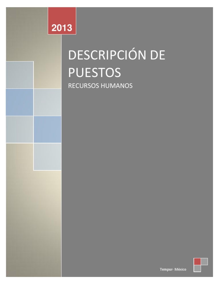 Formato de Descripción de Puestos | PDF | Recursos humanos | Business
