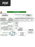 Mapa Conceptual Activitats Economiques | PDF