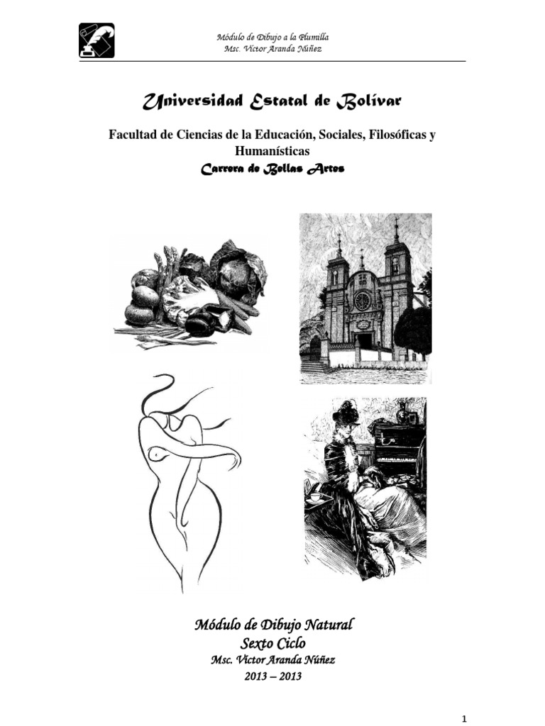 Modulo Dibujo Natural Vi | PDF | Dibujo | Papel