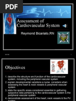 Cardiovascular Assessment Documentation Guide | PDF