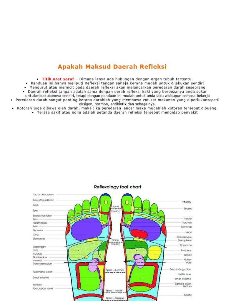 Reflexology Kaki | PDF