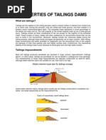 Design and Constrcution of TSF | PDF | Dam | Earth Sciences
