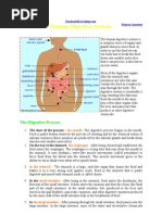 Summative Test Science 9 | PDF | Circulatory System | Heart