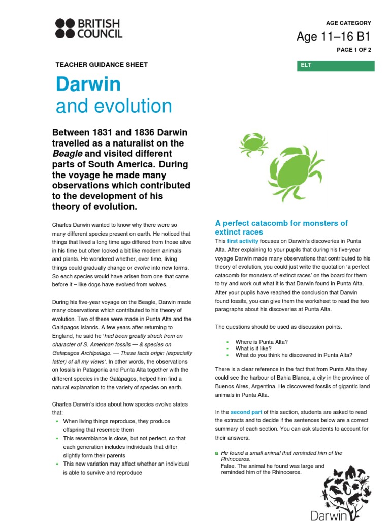 Worksheet - Darwin Evolution Teacher | PDF | Charles Darwin | Galápagos ...