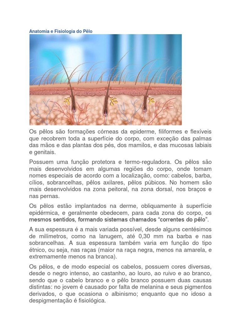 Anatomia e Fisiologia Do Pêlo 5 | Download grátis PDF | Pele animal | Raiz
