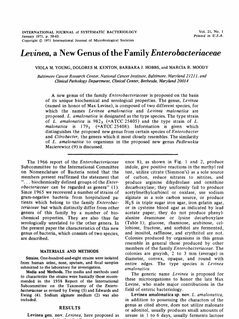 New Genus Of: Levinea, Enterobacteriaceae | PDF | Microbiology | Biology