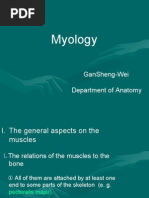 Mink Dissection Anatomy Guide | PDF | Anatomical Terms Of Location ...