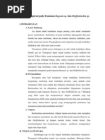 Dasar Teori Imbibisi | PDF