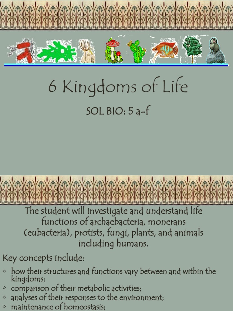 Characteristics of the Six Kingdoms | PDF