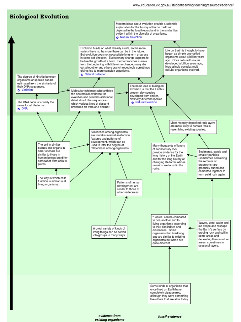 Map Biological Evolution 2 | PDF | Organisms | Evolution