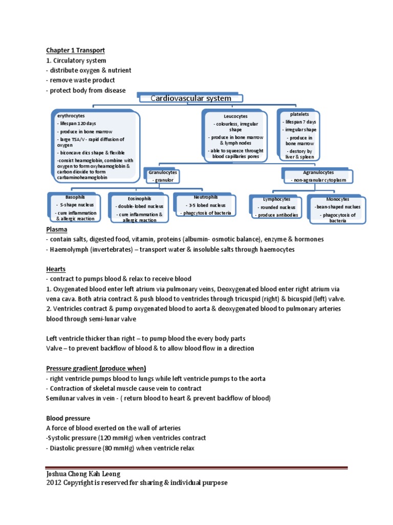 SPM Biology Notes | PDF | Digestion | Neuron