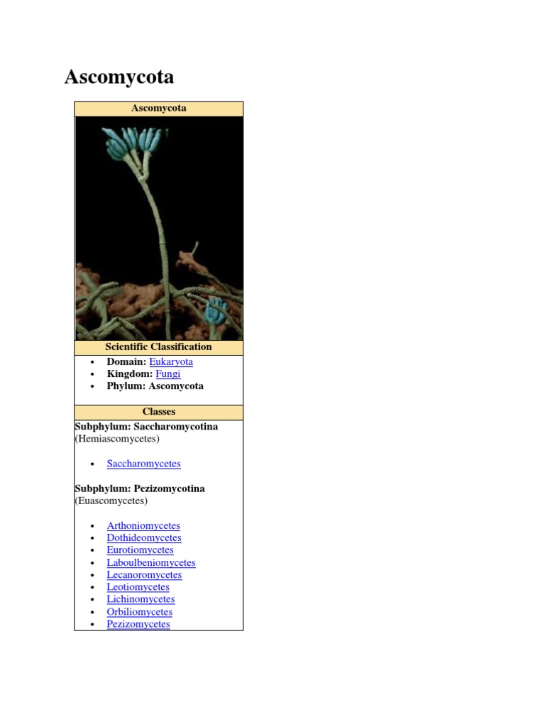 Overview of Ascomycota Fungi | PDF | Wellness