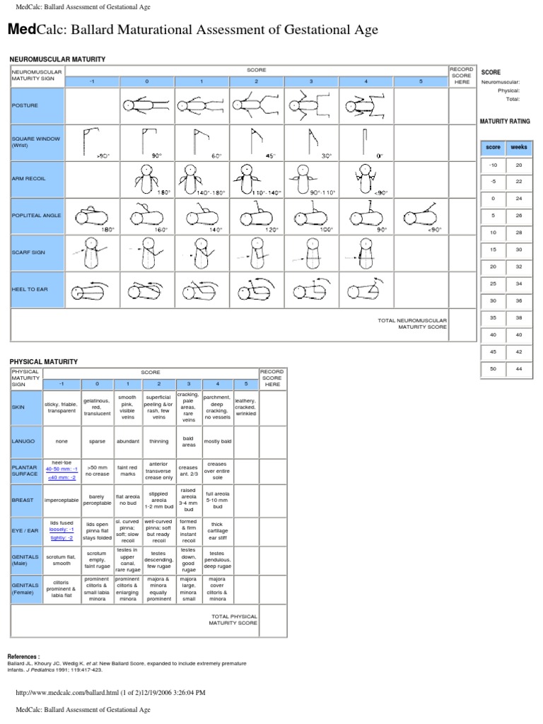 MedCalc Ballard Assessment of Gestational Age | PDF | Clitoris | Labia