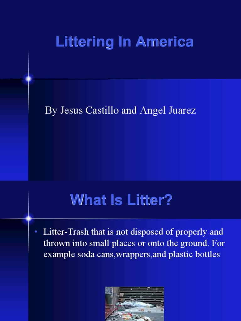 Understanding Littering in America | PDF