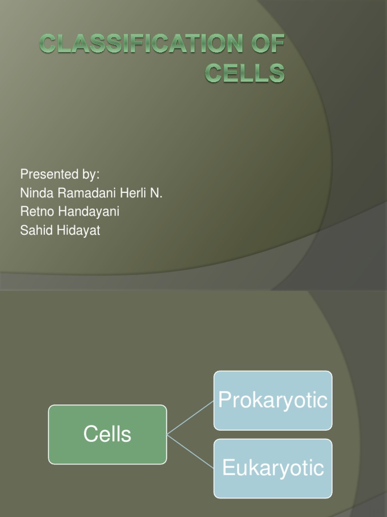 Classification of Cells | PDF