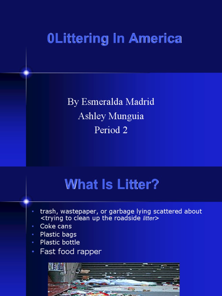 Littering's Impact and Prevention Strategies | PDF