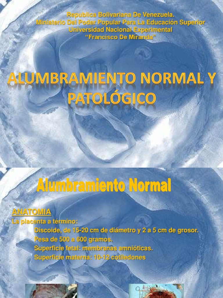 Alumbramiento Normal y Patologico Diapositivas | PDF | Placenta | Parto