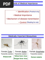 Neurotransmitters and Its Food Sources | PDF | Pickling | Norepinephrine