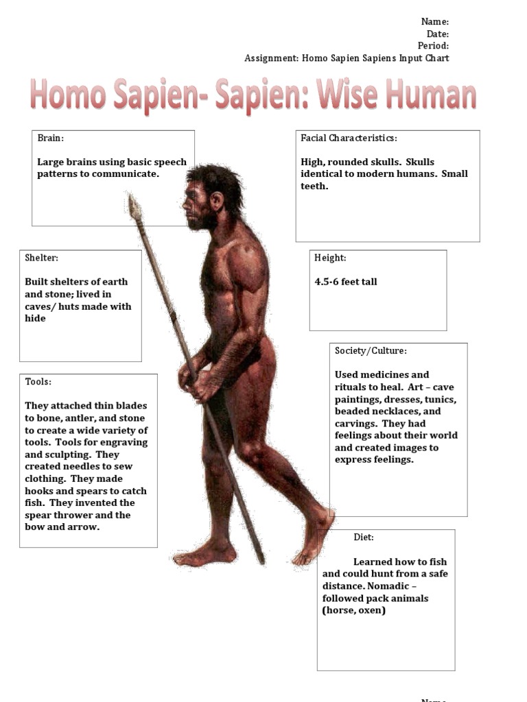 Master Homo Sapien Sapiens Detailed Input Pdf Homo Clothing 